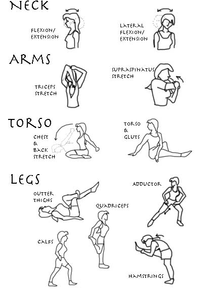 MyChapterRoom • Start Your Day with Morning Stretches